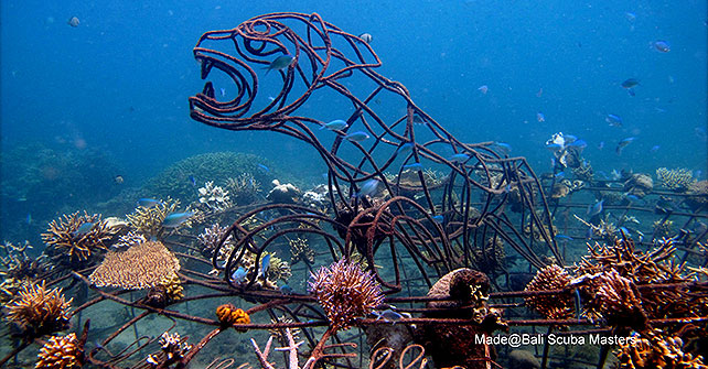 Bali Scuba Masters - Dive Sites - Pemuteran Bio Rock Dive Site