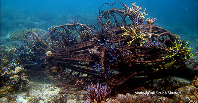 Bali Scuba Masters - Dive Sites - Pemuteran Bio Rock Dive Site